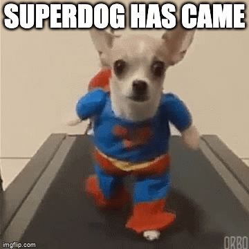 superdog - Imgflip