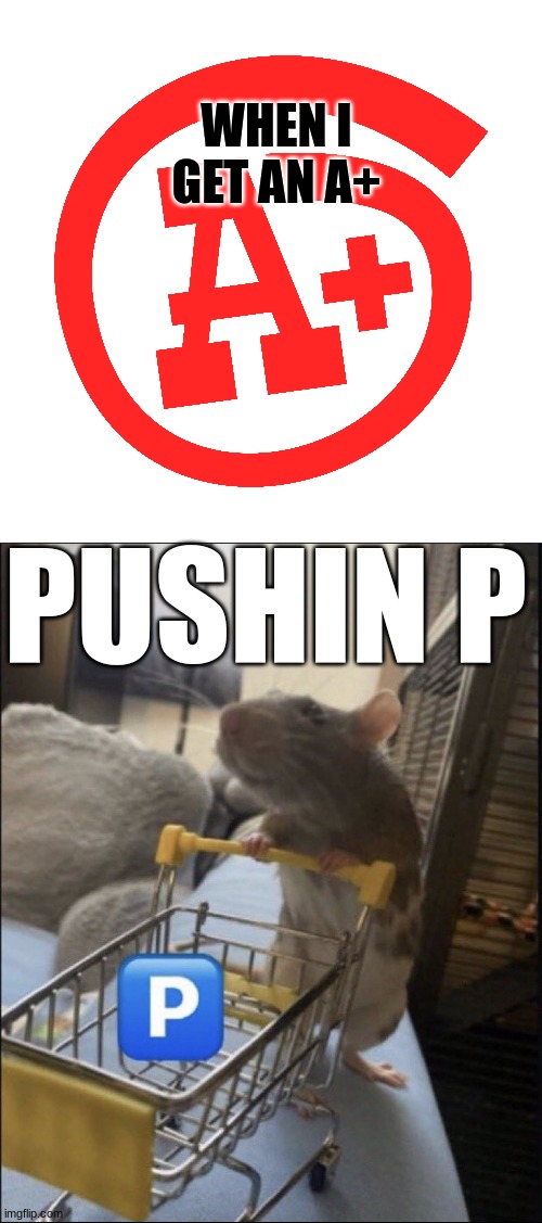 Pushin P Imgflip Pushin P Imgflip