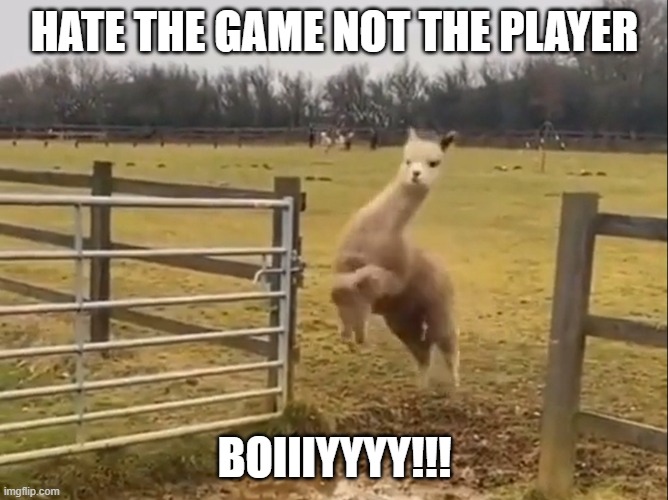 cute alpacas : r/Eyebleach