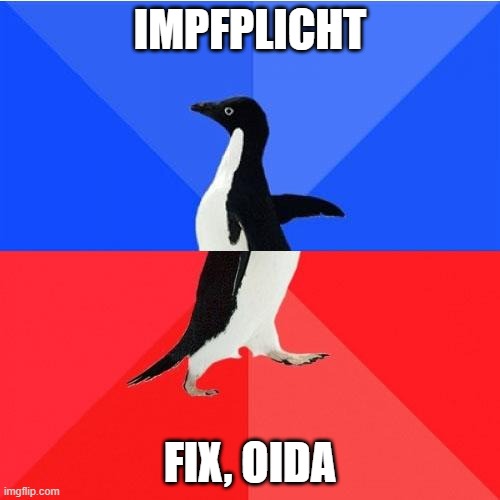 Socially Awkward Awesome Penguin Meme - Imgflip