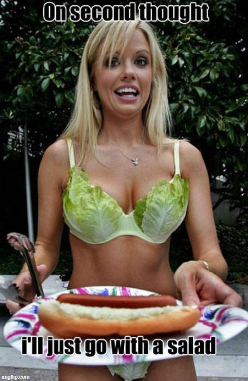 Image tagged in vegan - Imgflip