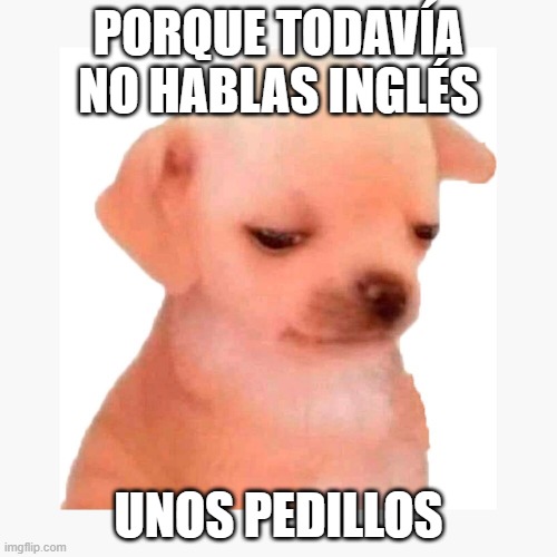 Unos Pedillos - Imgflip