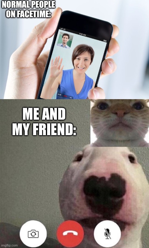 Image tagged in walter calling swag cat - Imgflip