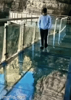 The slippery glass bridge - Imgflip