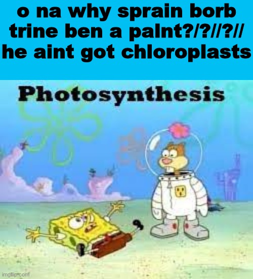 Imgflip