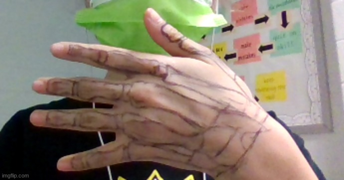 I tried the skeleton hand - Imgflip