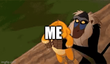 when your baby brother or sister is born - Imgflip