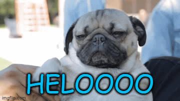 doggo says helooooo - Imgflip