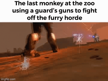 FIGHT MONKE FIGHT. FIGHT AND WIN MONKE - Imgflip