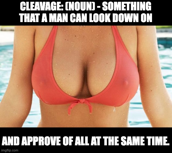 Cleavage - Imgflip