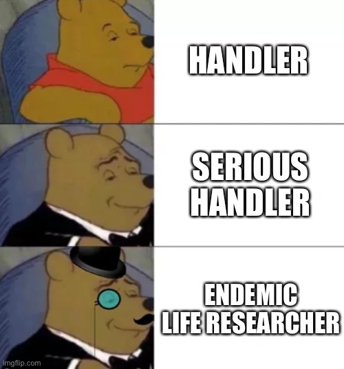 Fancy pooh - Imgflip