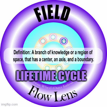 Field Potential Lifetime Cycle - Imgflip