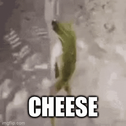 dancing froggy - Imgflip