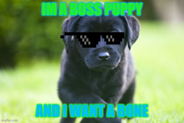 boss puppys be like - Imgflip