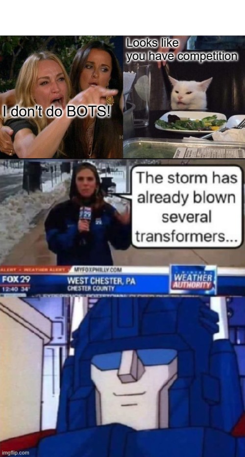 Image tagged in memes,woman yelling at cat - Imgflip