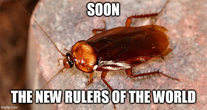 Image tagged in soon - Imgflip