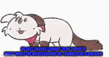 *optimistic cat noises ensue* - Imgflip