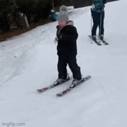 Learn to ski skate bro - Imgflip