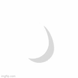 Image tagged in gifs,shell - Imgflip