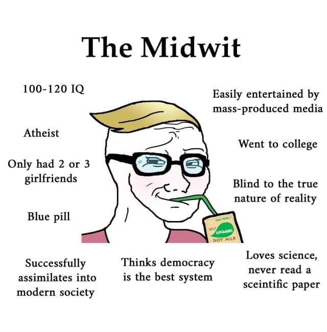 The Midwit Blank Template - Imgflip