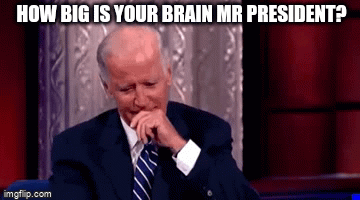 Joe's brain - Imgflip