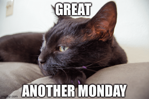 Great Another Monday - Imgflip