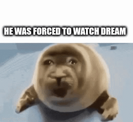 Dream stan bad - Imgflip