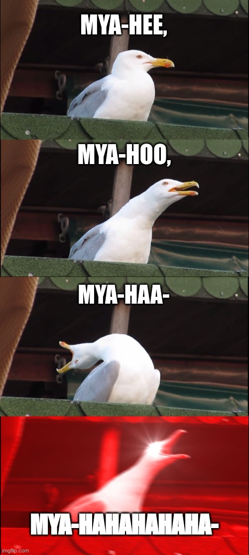 Inhaling Seagull Meme - Imgflip