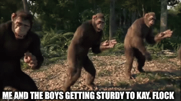 YEA KAY FLOCK - Imgflip