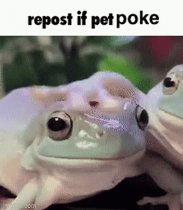 repost if pet poke - Imgflip