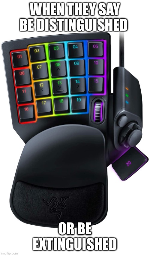 You Summoned Me - Imgflip