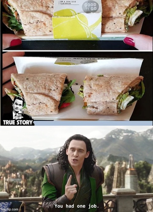 Image tagged in you had one job just the one - Imgflip