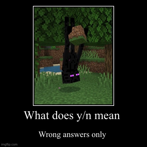 What Does Y n Mean Imgflip
