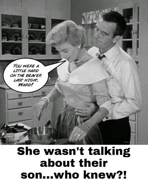 THE BEAVER - Imgflip