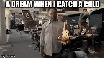 A dream when I catch a cold - Imgflip