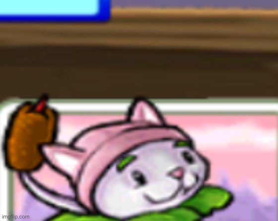 cattail my beloved - Imgflip