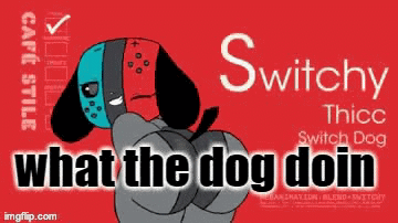 Animated Gif Imgflip