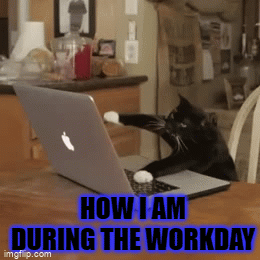 Me during the workday - Imgflip