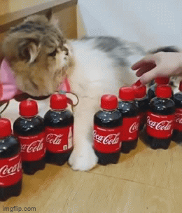 Cat: mine - Imgflip