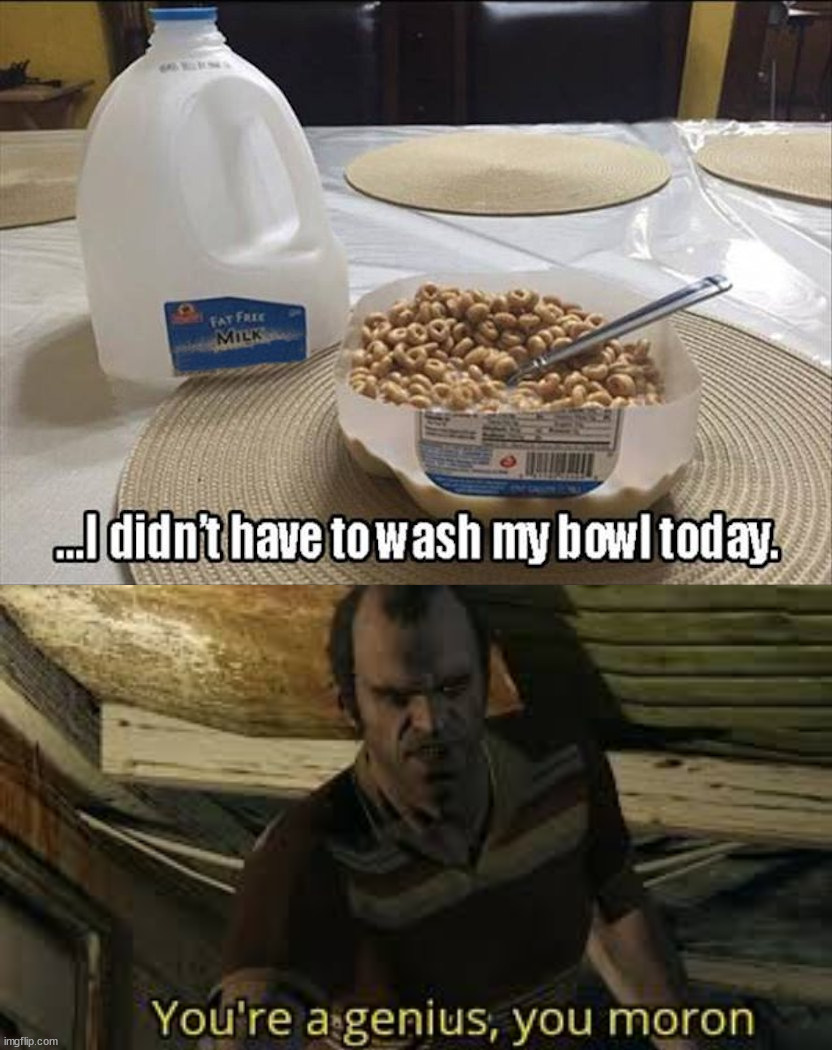 Image tagged in youre a genius you moron - Imgflip