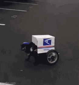 Dog mailman - Imgflip
