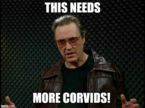 Needs More Cowbell - Imgflip