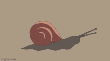 animated snail - Imgflip