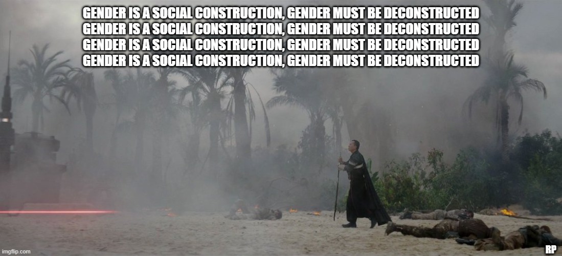 Gender is a social construction, gender must be deconstructed - Imgflip