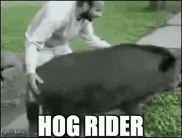 Animated GIF - Imgflip