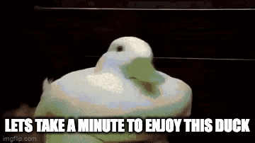 just stop, look at the duck, then resume whatever it was you were doing ...