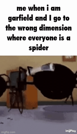 Animated GIF - Imgflip