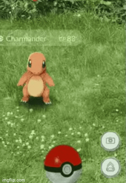 Animated GIF - Imgflip