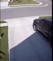 Animated GIF - Imgflip