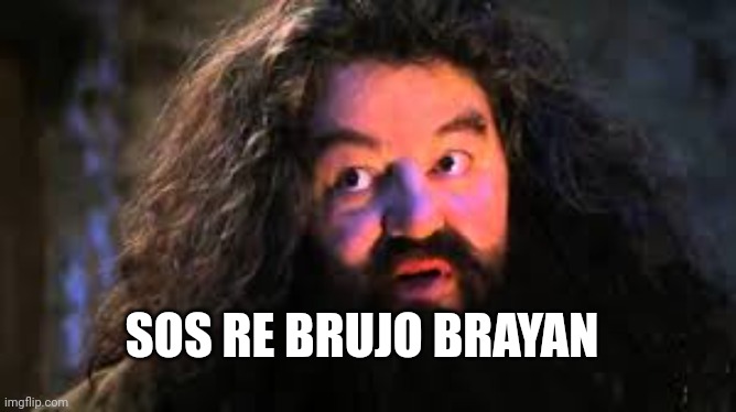 You are a Wizard Harry - Imgflip